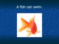 A fish can swim.