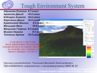 Tough Environment System презентация, доклад