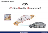 VSM(Vehicle Stability Management)