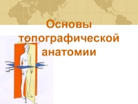 Основы топографической анатомии