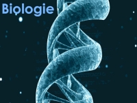 Biologie. Unterscheiden drei Hauptrichtungen der Entwicklung der ...