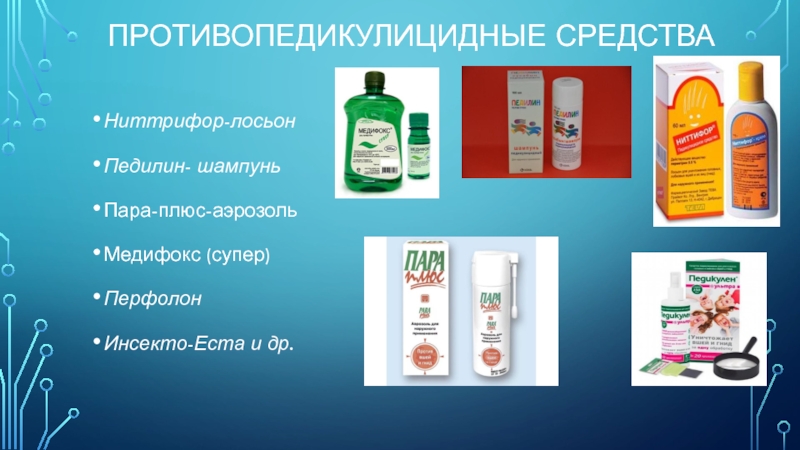Структура больницы
