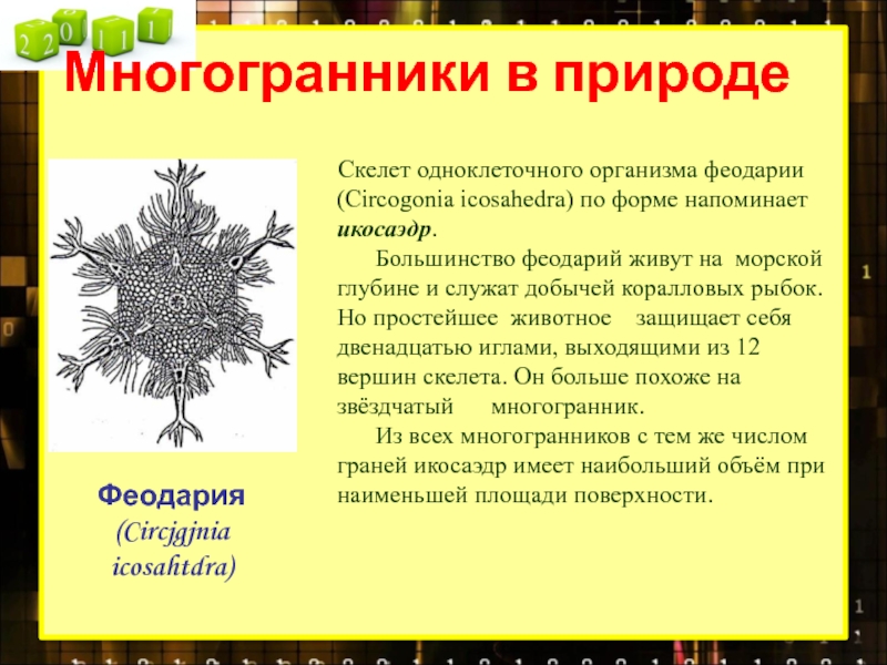 Многогранники