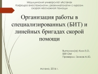 Организация работы в специализированных (БИТ) и линейных бригадах ...