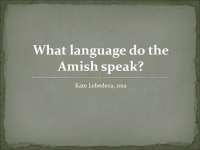 What language do the Amish speak презентация, доклад