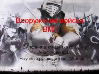 Вооружение войска ВКЛ