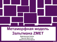 Метаморфная модель Зальтмана ZMET