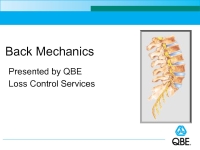 Back mechanics. Back Injuries